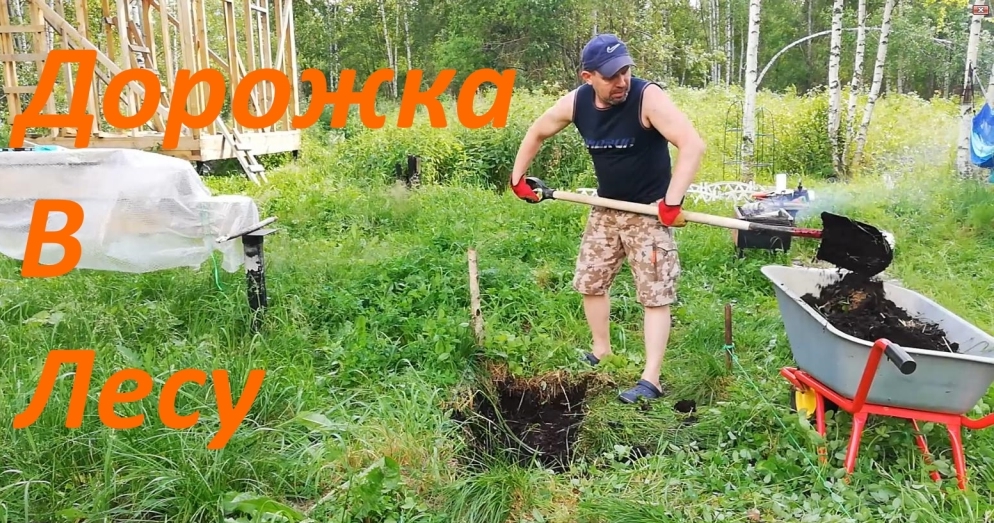 Дорожка на участке своими руками, опять лоси и змеи