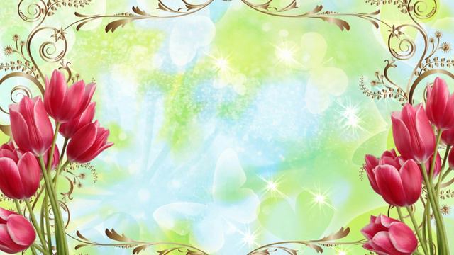 Футаж  цветы, тюльпаны