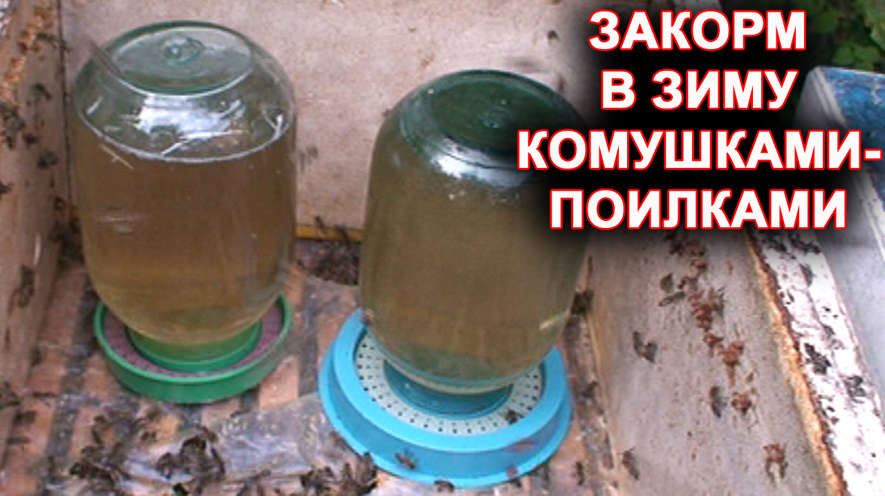 Закорм пчёл в зиму кормушками- поилками