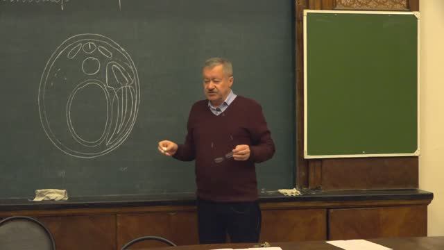 4. Бесчелюстные. Зоология позвоночных - Корзун Л. П. Teach-in.