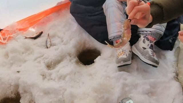 Зимняя таежная рыбалка в палатке