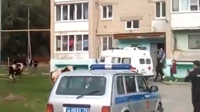 Тем временем митинги в России.?