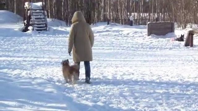 Fleurette - BH 31.03.2013