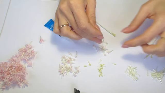 Мастер-класс Астильба из фоамирана. Часть 2.mp4