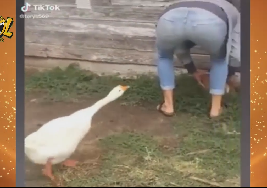 строительные приколы 8