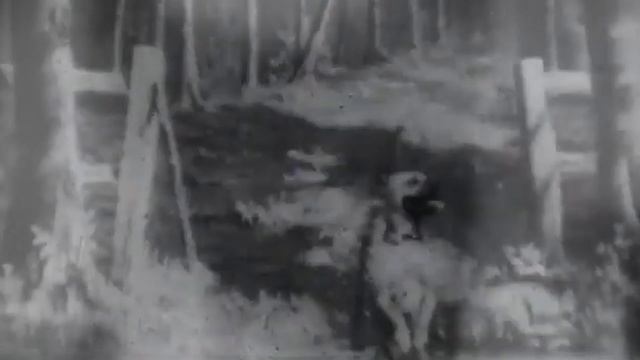 Литературный влог «Классика на все времена. Иван Тургенев»