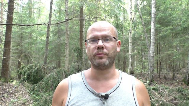 Шекспир, сонет 133