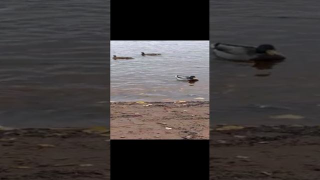 WhatsApp Video 2021-10-21 at 14.43.59.mp4