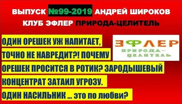 СЛОЖНАЯ СУДЬБА ОДНОГО МИЛОГО ОРЕШКА. ОН ХОЧЕТ В ТВОЙ РОТ! ТЫ ЛЮБИШЬ ЕГО. НО ВЗАИМНО ЛИ ЭТО?