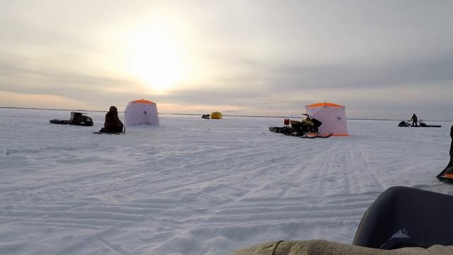 Белогорка. Зимняя рыбалка на Северной Двине. 5.02.2022.