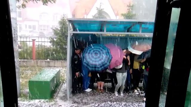 2016 ГРАД Калининград  лето