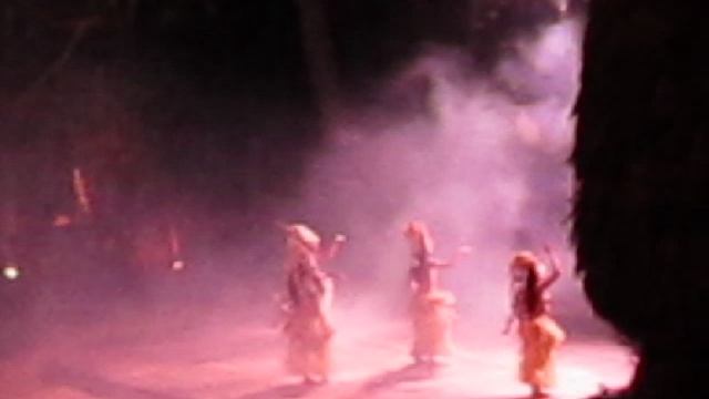 Огненное шоу.Порт Авентура Испания..