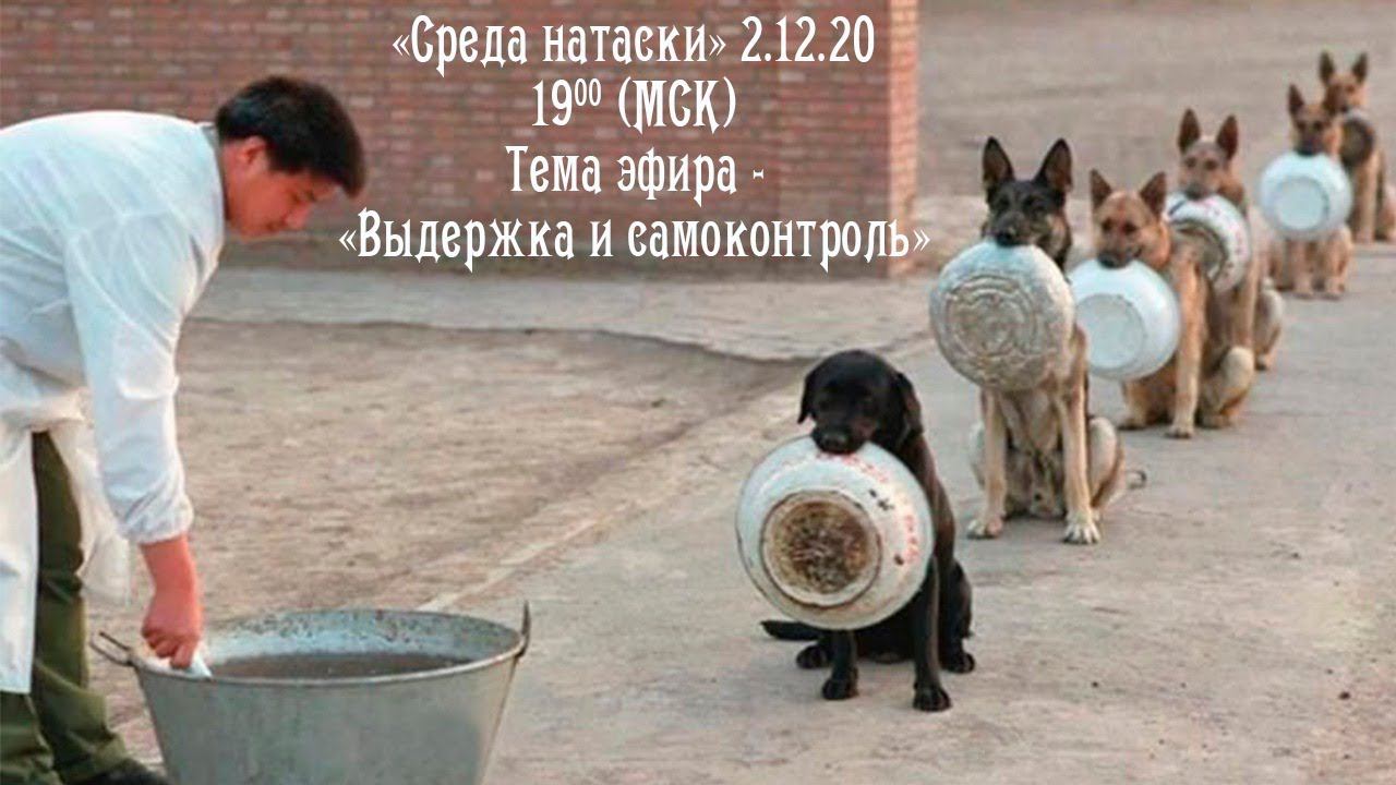 Прямой эфир - "Выдержка и самоконтроль"