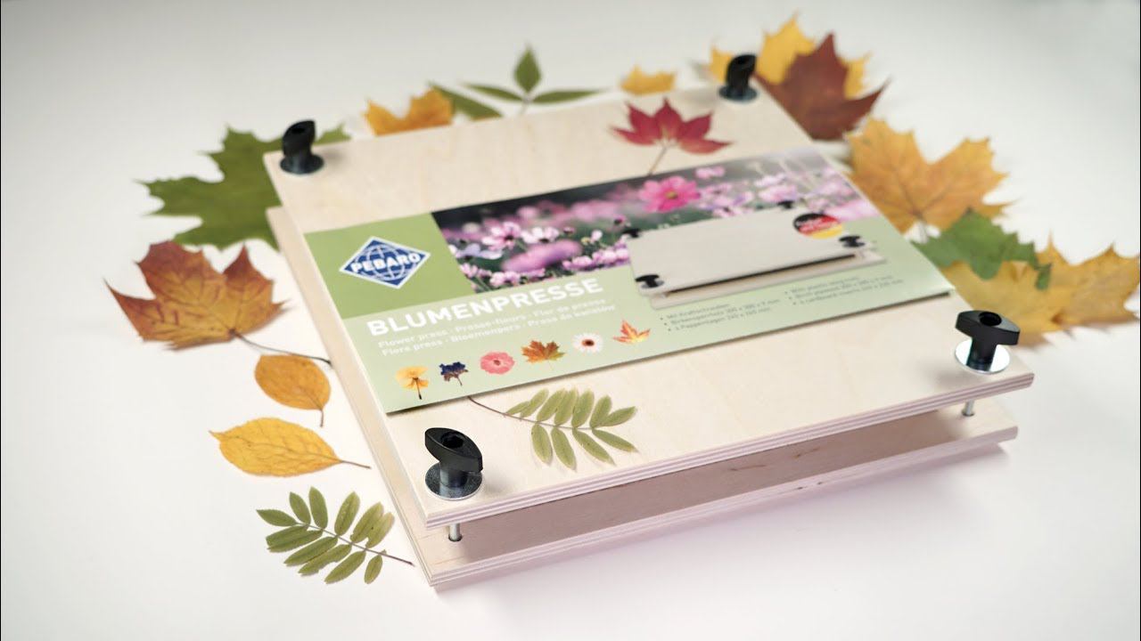 Сушим гербарий и делаем картины из сухоцветов