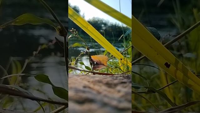 А человеку нужен....