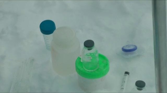 Экологический дневник 12  декабря 2015 года.mp4