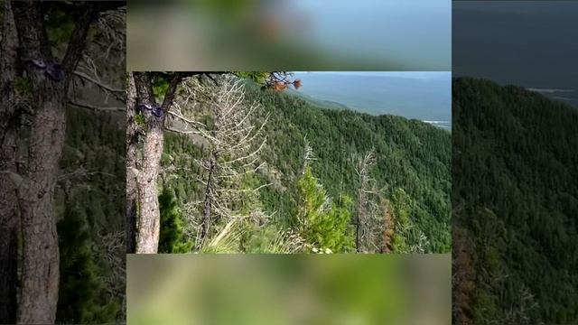 Конкурс видеороликов на бурятском языке 2022 - Факультет биологии, географии и землепользования