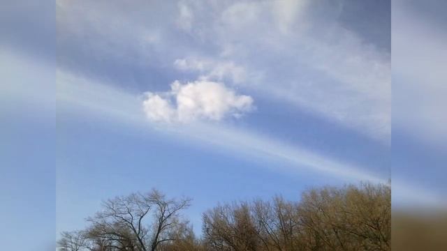 Осенняя зарисовка.mp4