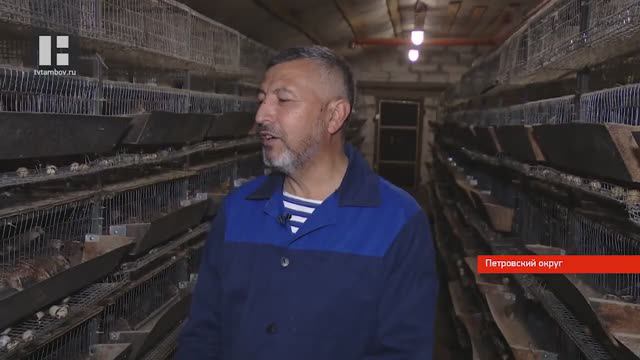 👨🌾Фермер из Тамбовской области выращивает 10 000 перепелов!