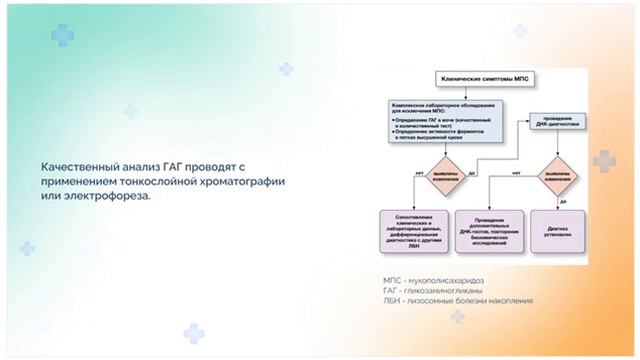 ДИОМ: Образовательный цикл - орфанные заболевания, что мы знаем сегодня_?Мукополисахаридоз.