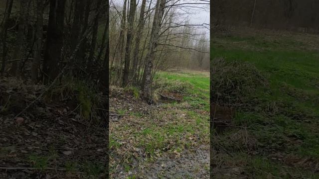 Копаем металл 7 , скромненько )