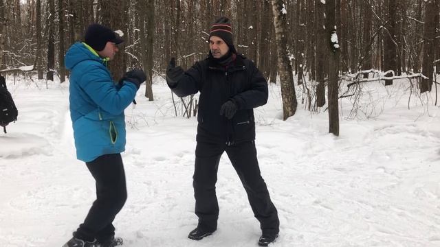 Погладить гриву дикой лошади. Разбираем 24-ю форму тайцзицюань стиля Ян