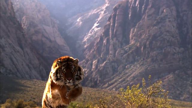 KBNGESS_KidsBox_Level4_Unit5_Song_video