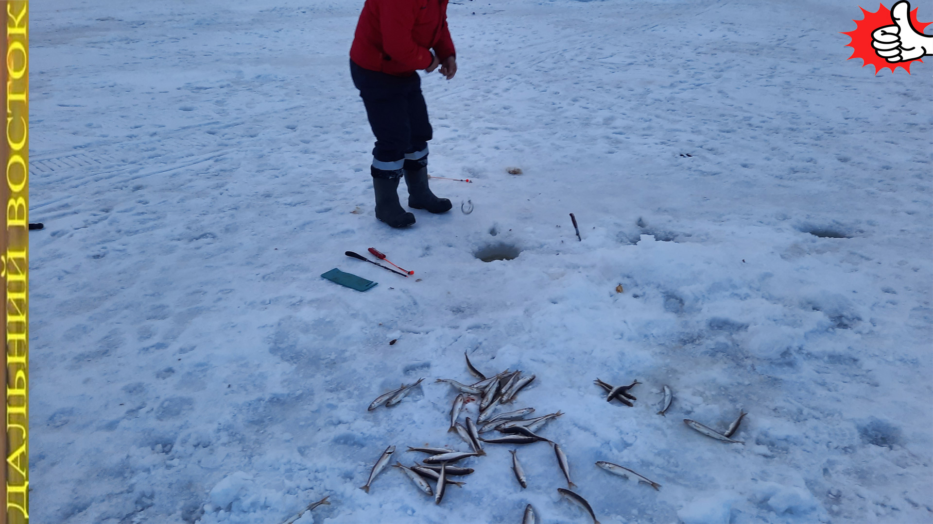Очередная рыбалка на корюшку зубатку(сахалинку).  Чныррах..avi