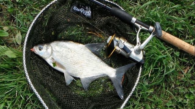 🐠 СОВЕТЫ  КАК ПОЙМАТЬ ЛЕЩА