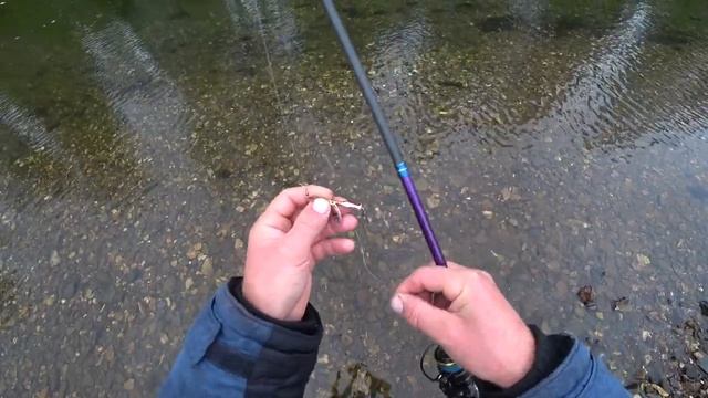 ПИЖМА.СКОЛЬКО ХАРИУСА В ЭТОМ РУЧЬЕ!!_ЗАБРАЛИСЬ В ГЛУШЬ!!