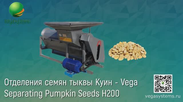Отделения семян тыквы Куин Vega Separating Pumpkin Seeds H200