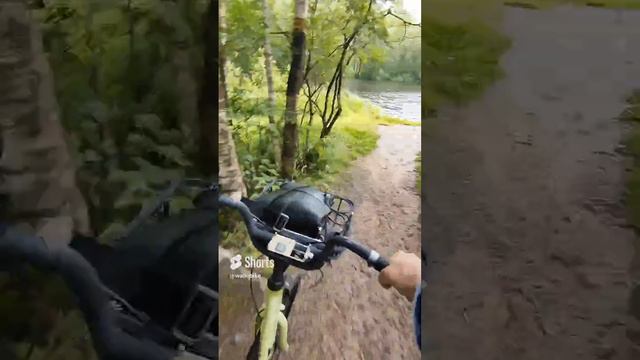 Питер. Юнтоловский лесопарк и Верхний Буферный пруд