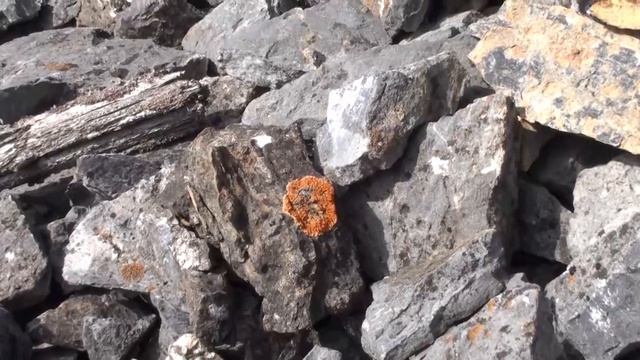 Серёжа С Днём рождения