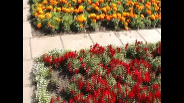 Путешествие в Москву на 3-ёх палубном т/х Яков Свердлов в 2003 году. 12 серия