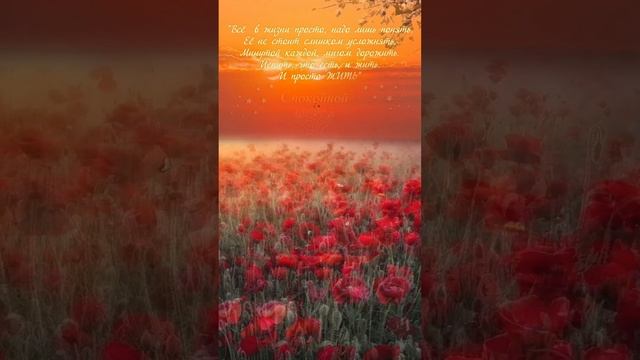 Всё в жизни просто