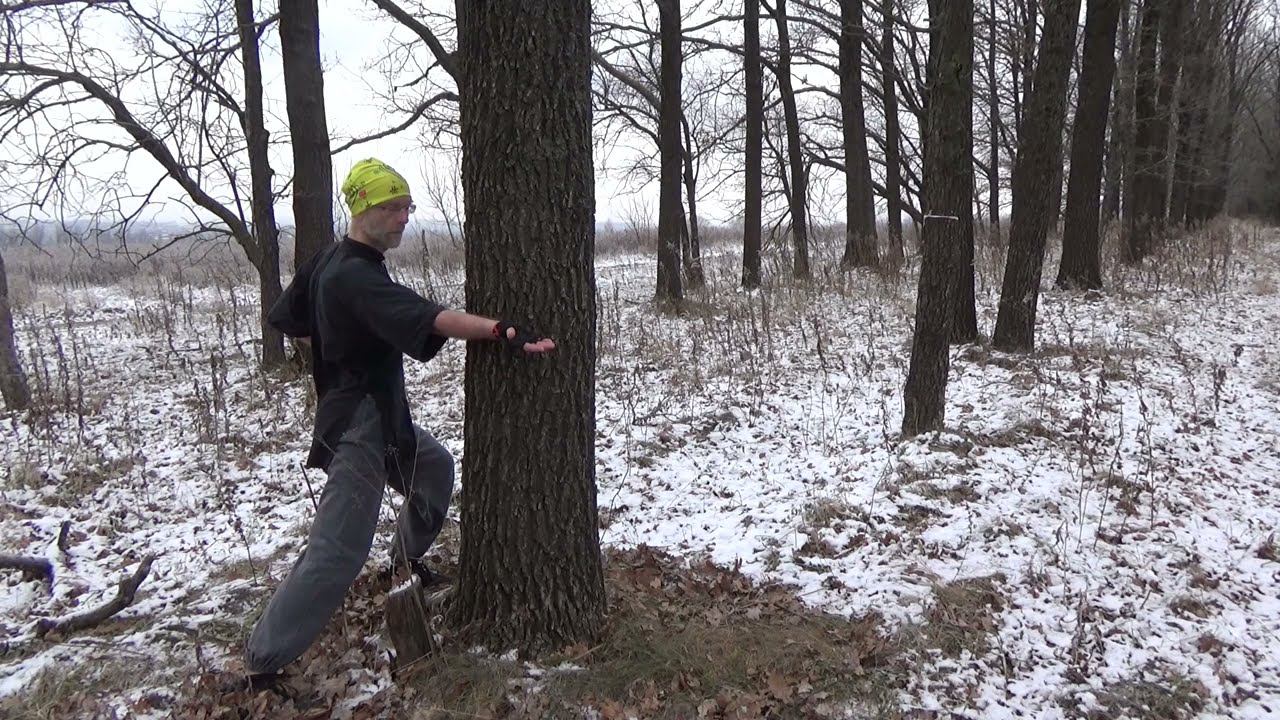 М231119-4 Жёсткие методы цигун, нарезка