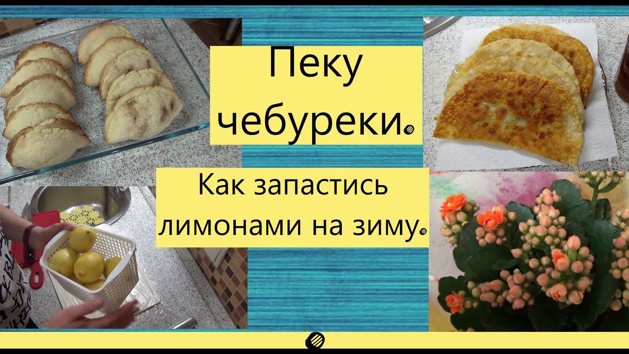 ГОТОВЛЮ ЧЕБУРЕКИ. ЗАГОТОВКА ЛИМОНОВ НА ЗИМУ. РЕЦЕПТ СОЧНИКОВ ИЗ ИНТЕРНЕТА. VLOG 11-17/10/21