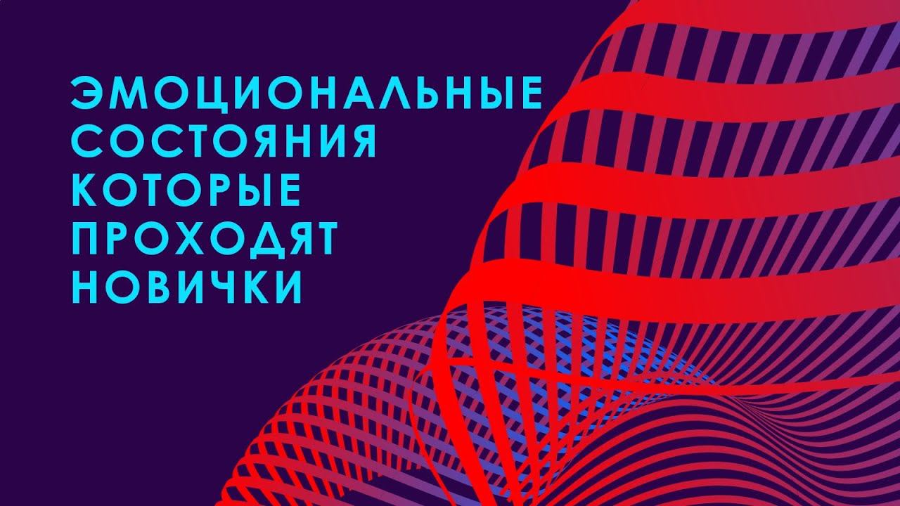 ЭМОЦИОНАЛЬНЫЕ СОСТОЯНИЯ КОТОРЫЕ ПРОХОДЯТ НОВИЧКИ