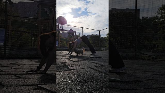 зарядка раздупляшка