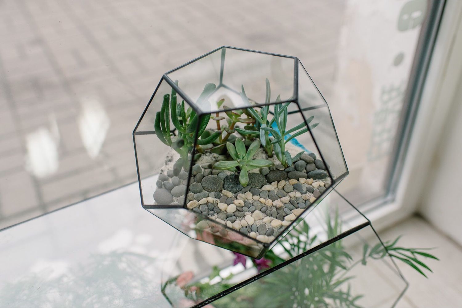 Как создать флорариум.mp4