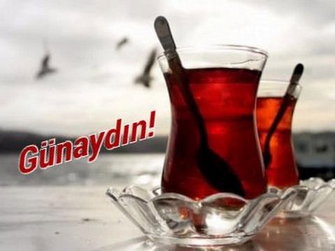 Турецкие распространённые  устойчивые выражения. Часть 1. Türk yaygın ifadeleri. 1 bölüm.