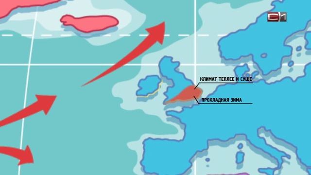 Тип-Топ Новости от 18.01.24
