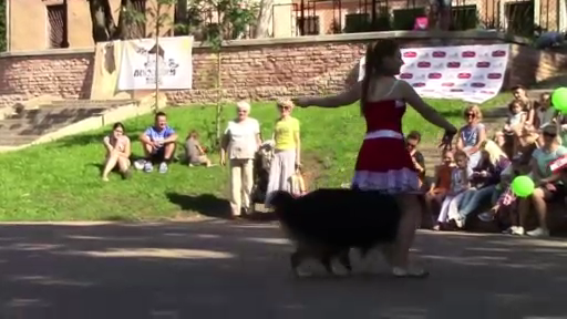 Собаки (Медовый фестиваль).