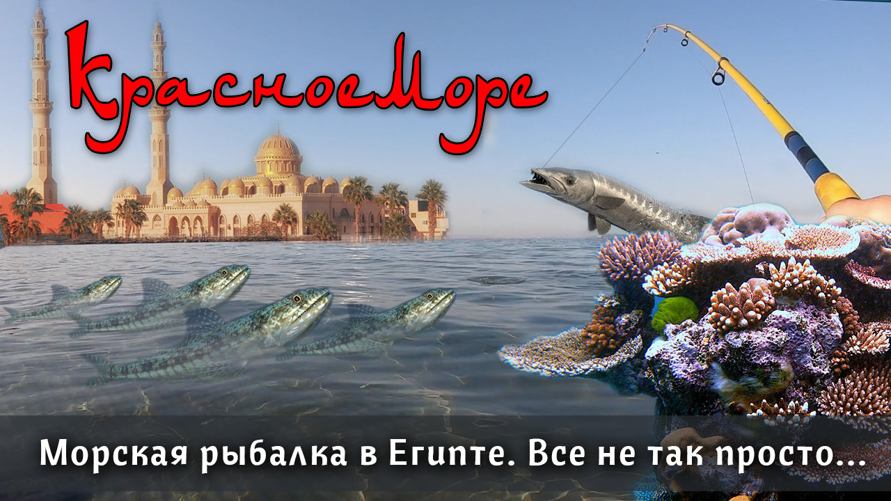 РОКФИШИНГ в КРАСНОМ МОРЕ. Морская рыбалка в Египте - первый опыт.