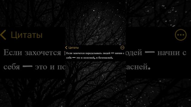 Цитата 1