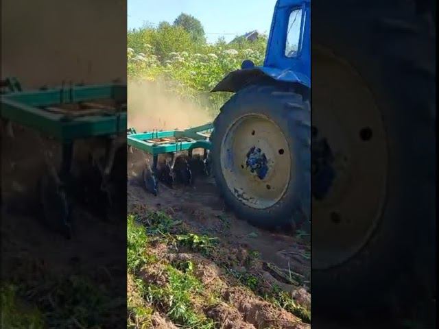 Борона БДМ 2 4х2 для мтз 82 #shorts