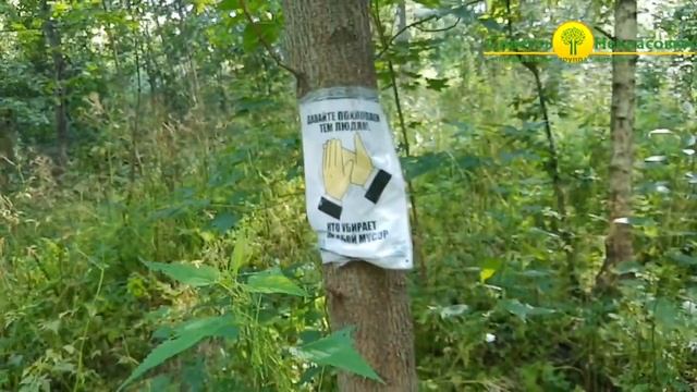 Очередной субботник на Радиополях силами активистов из Люберец.