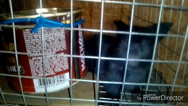 2018,сентябрь.