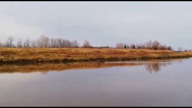 Экология-дело каждого