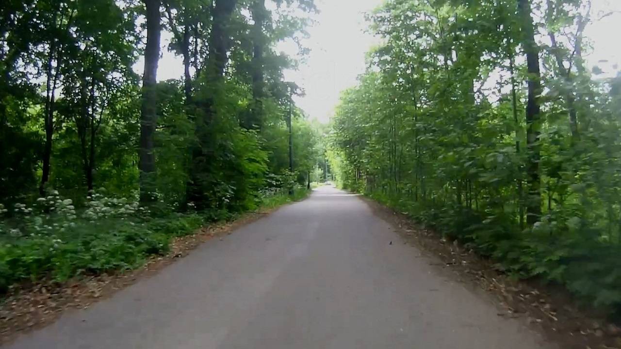 Хорошо на велосипеде в парке